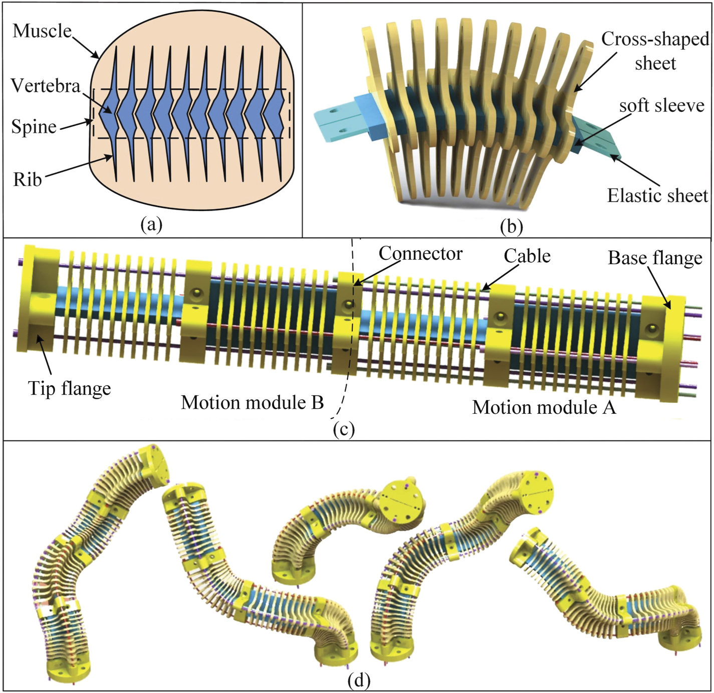A bioinspired fishbone continuum robot with rigid-flexible-soft ...