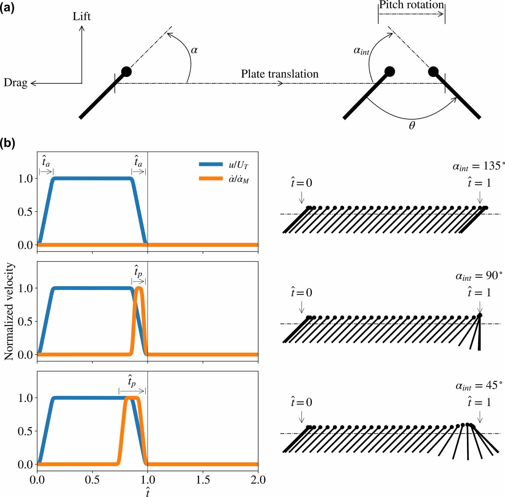 Capturing wake capture: a 2D numerical investigation into wing–wake ...