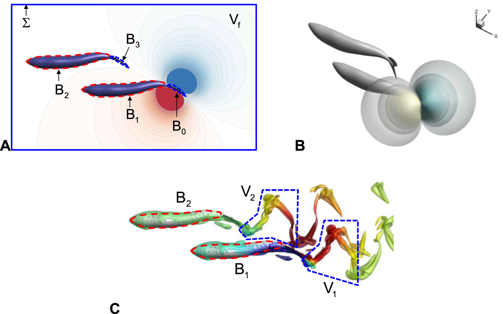 Improved swimming performance in schooling fish via leading-edge vortex ...