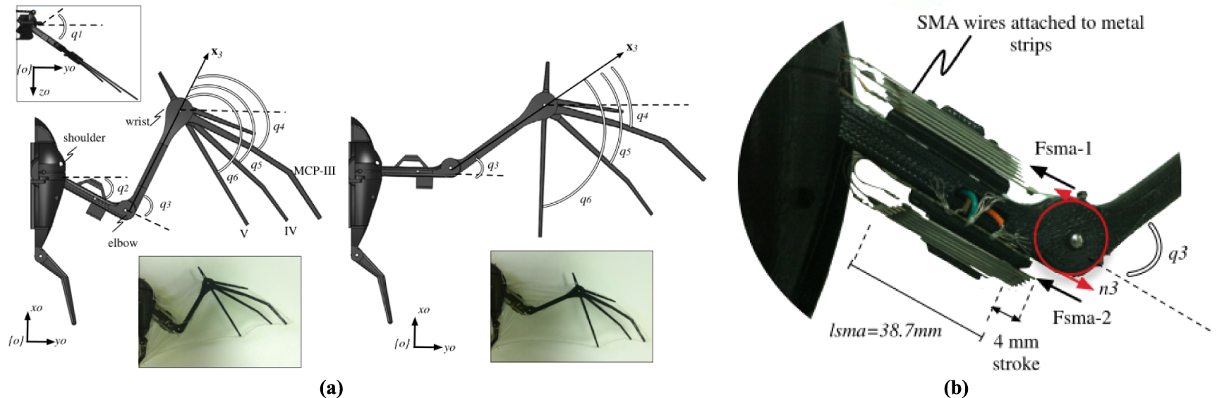 Bio-inspired flapping wing robots with foldable or deformable wings: a ...