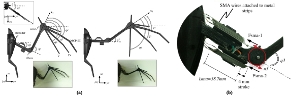 Bio-inspired flapping wing robots with foldable or deformable wings: a ...