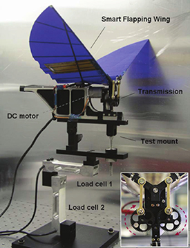 Bio-inspired flapping wing robots with foldable or deformable wings: a review - IOPscience