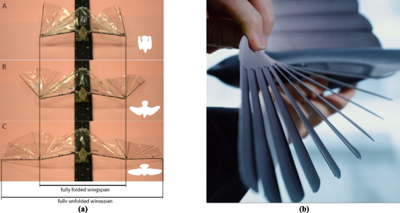 Bio-inspired flapping wing robots with foldable or deformable wings: a ...