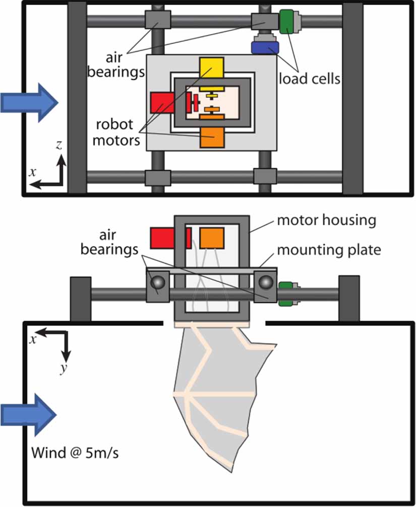 Bio-inspired flapping wing robots with foldable or deformable wings: a ...