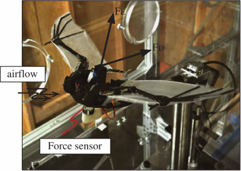 Bio-inspired flapping wing robots with foldable or deformable wings: a review - IOPscience