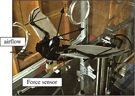 Bio-inspired flapping wing robots with foldable or deformable wings: a ...