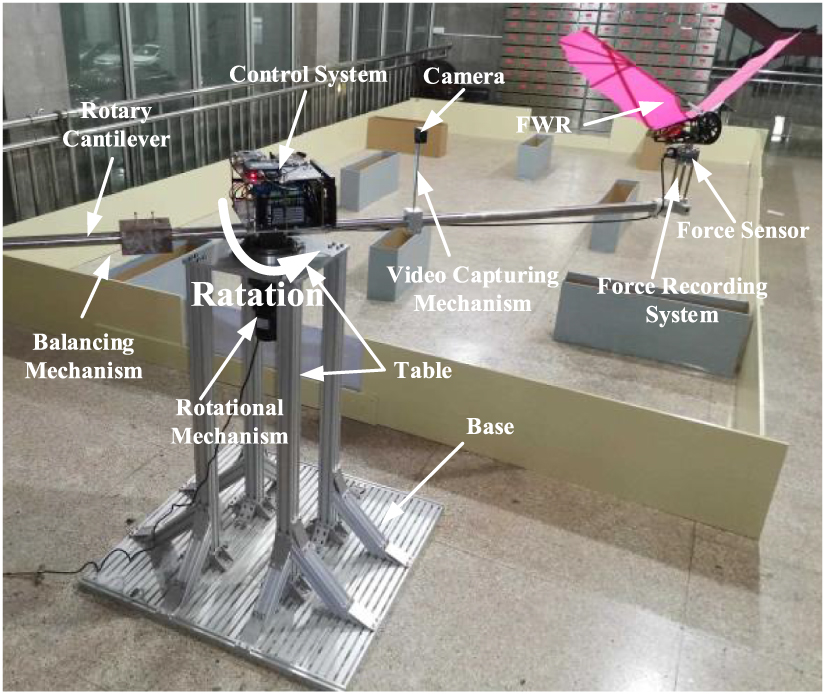 Bio-inspired flapping wing robots with foldable or deformable wings: a ...