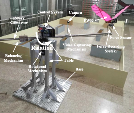 Bio-inspired flapping wing robots with foldable or deformable wings: a ...