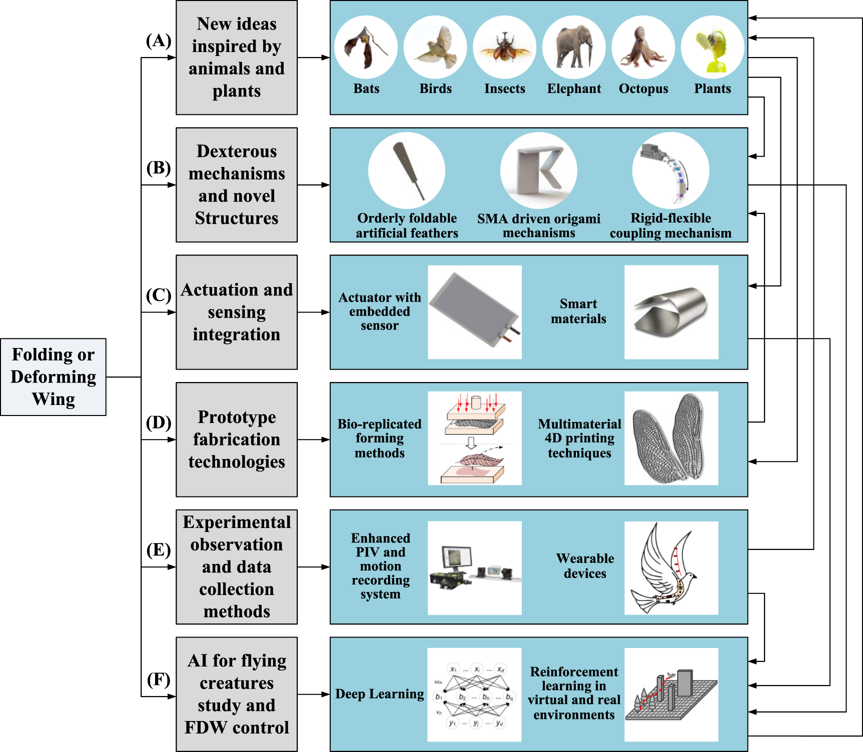 Bio-inspired flapping wing robots with foldable or deformable wings: a ...