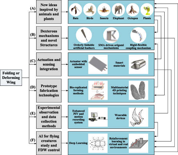 Bio-inspired flapping wing robots with foldable or deformable wings: a ...