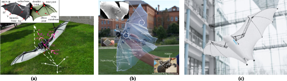 Bio-inspired flapping wing robots with foldable or deformable wings: a ...