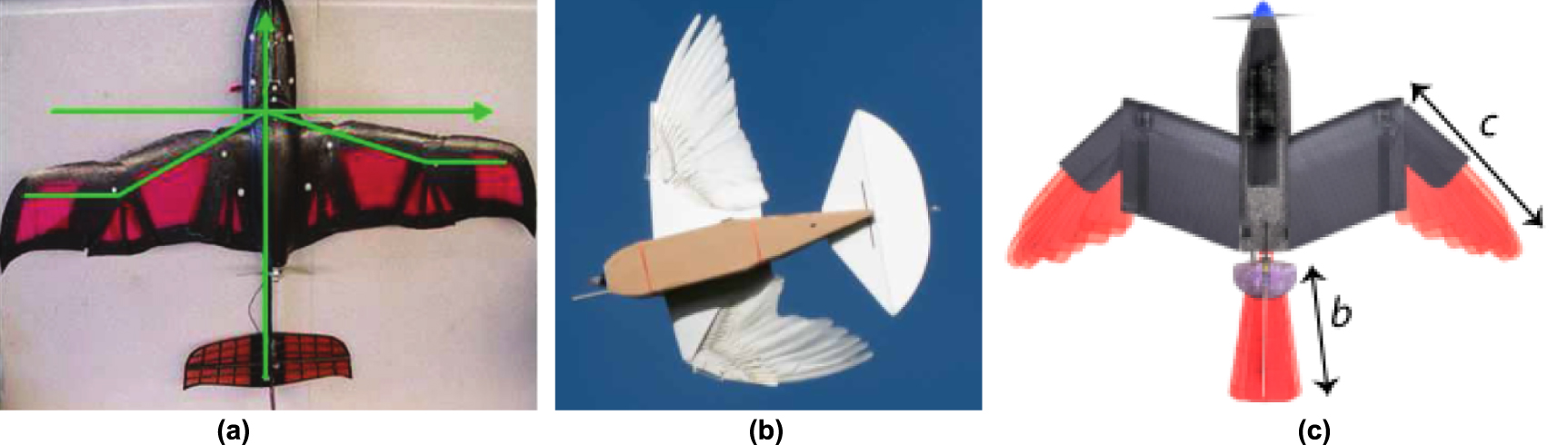 Bio-inspired flapping wing robots with foldable or deformable wings: a review - IOPscience