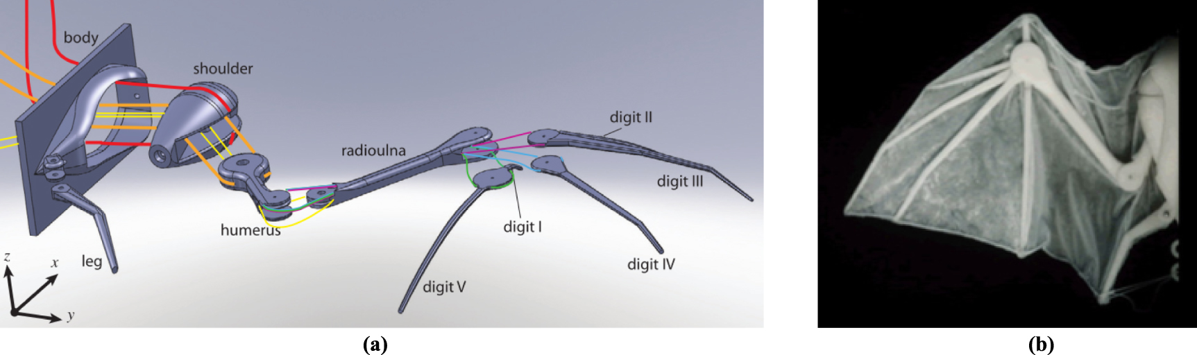 Bio-inspired flapping wing robots with foldable or deformable wings: a ...