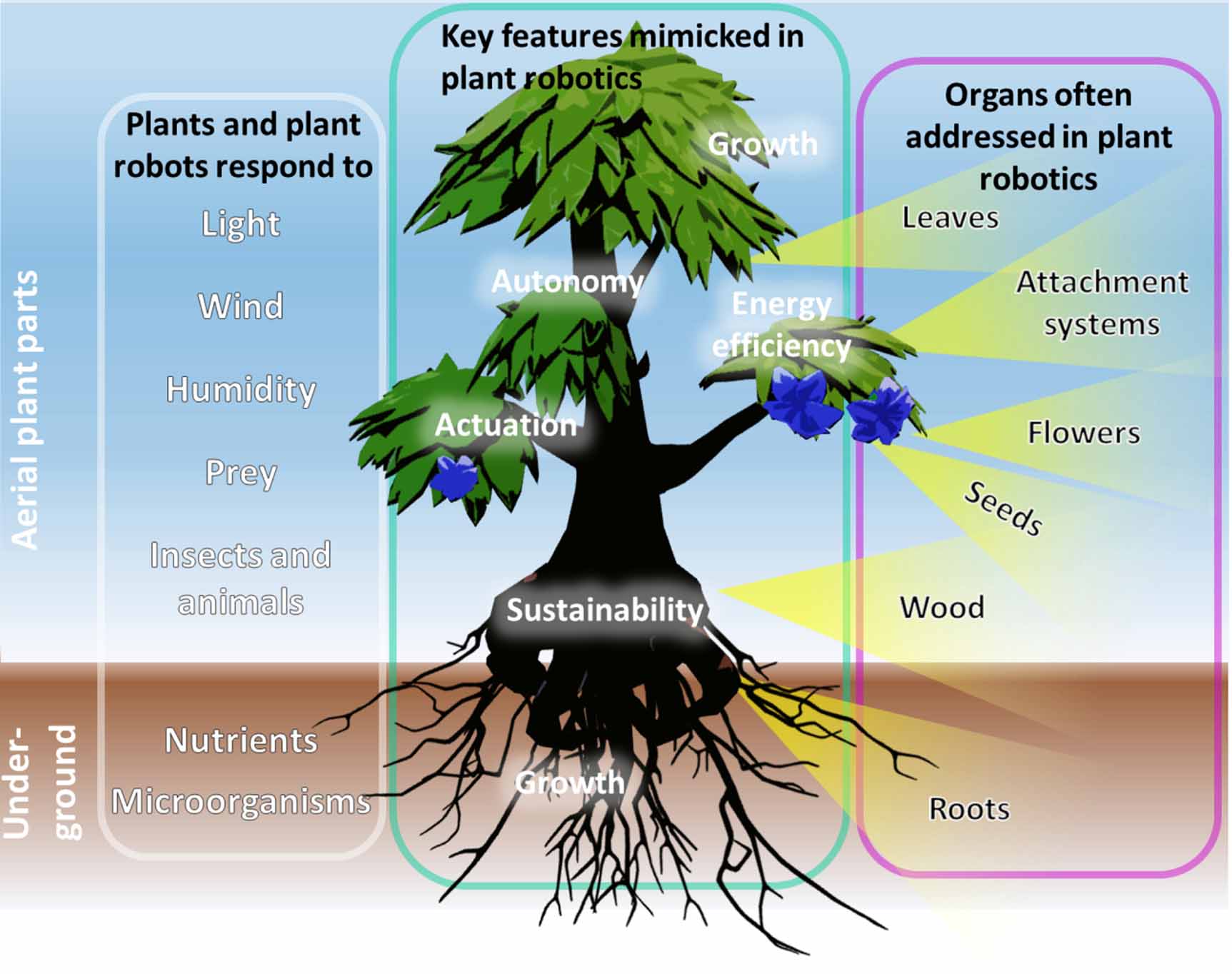 A perspective on plant robotics: from bioinspiration to hybrid systems ...