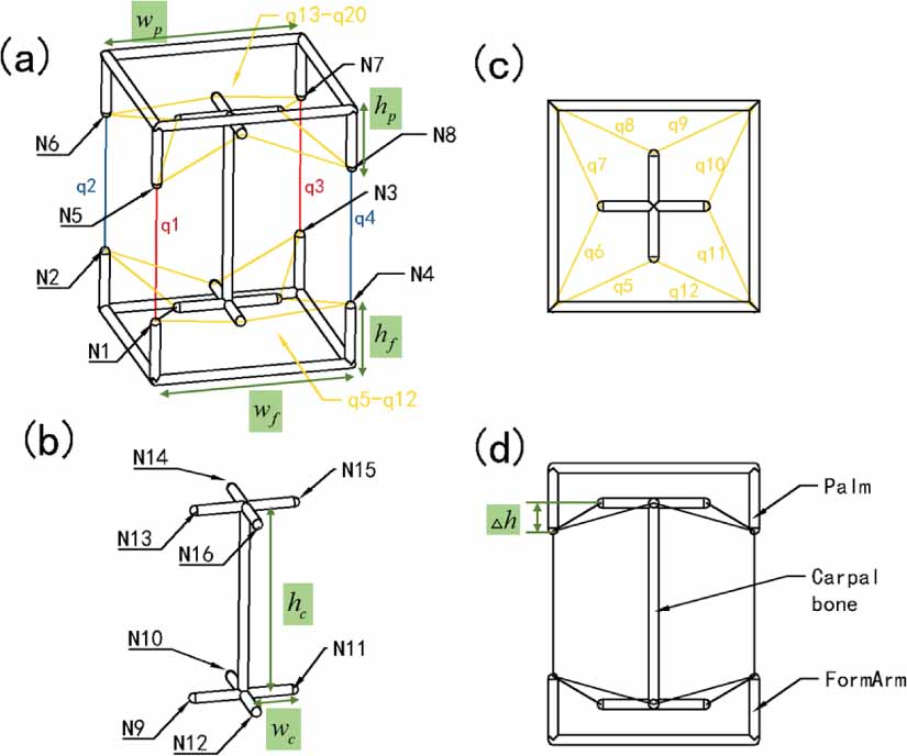 A wrist-inspired suspended tubercle-type tensegrity joint with variable ...
