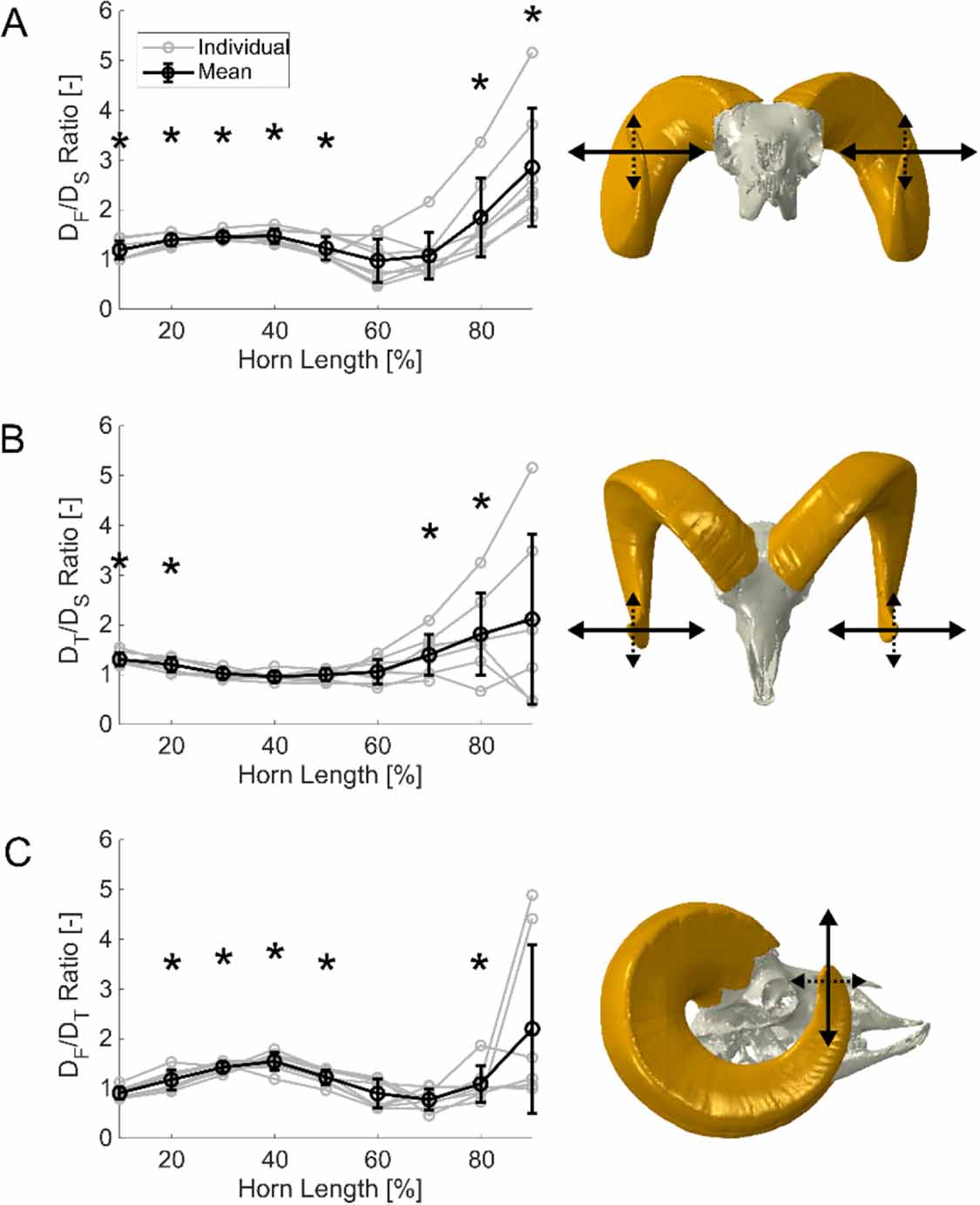 How the geometry and mechanics of bighorn sheep horns mitigate the ...
