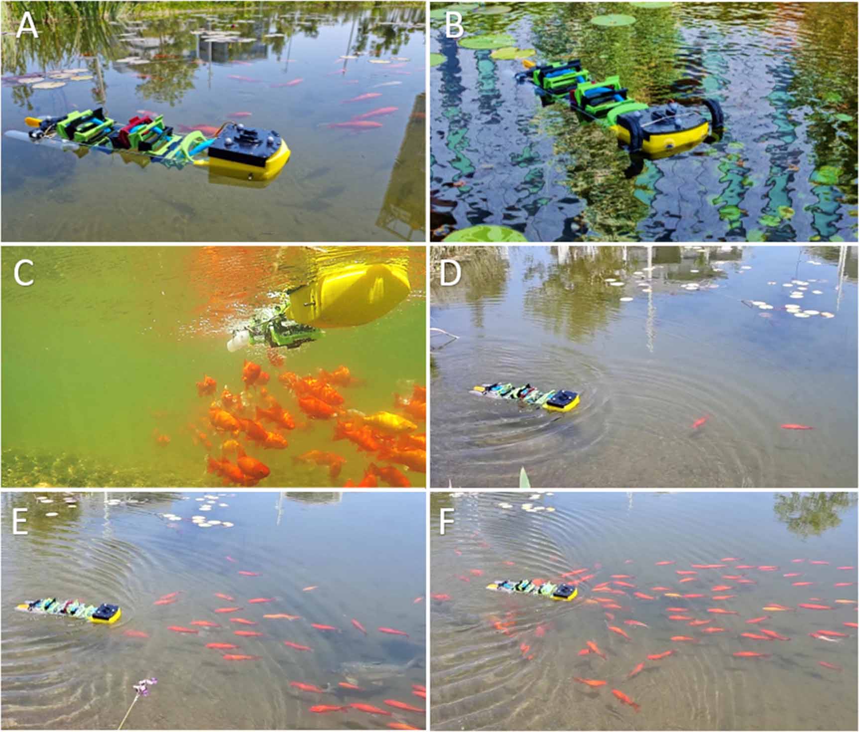 A novel wave-like crawling robot has excellent swimming capabilities ...