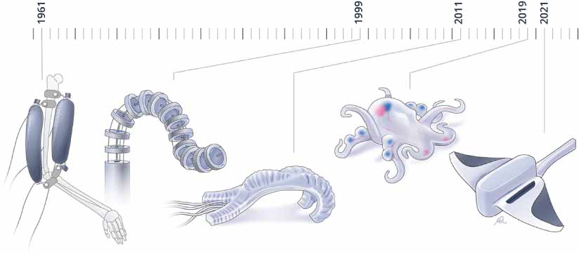 Perspective for soft robotics: the field's past and future - IOPscience