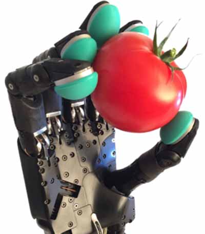 Perspective for soft robotics: the field's past and future - IOPscience