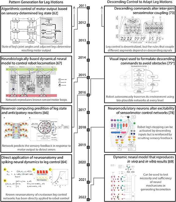 A virtuous cycle between invertebrate and robotics research ...