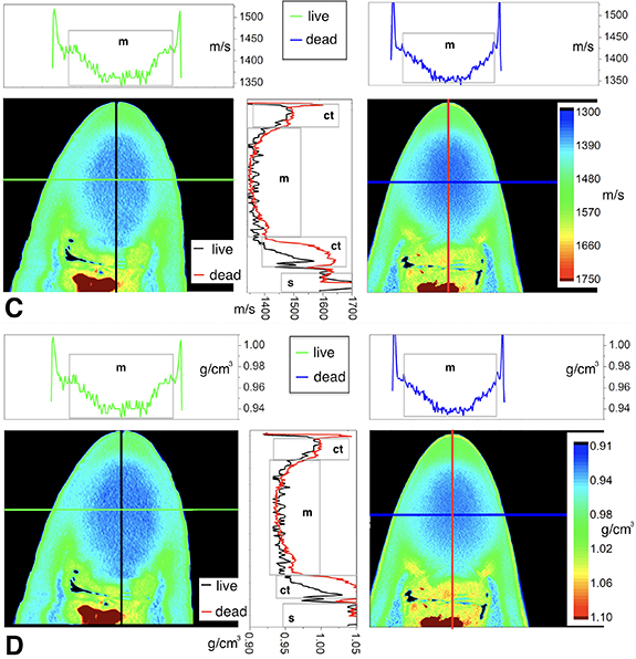 Does rotation increase the acoustic field of view? Comparative models ...