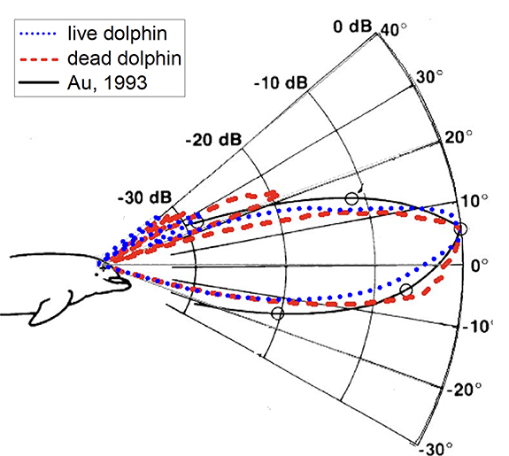Does rotation increase the acoustic field of view? Comparative models ...
