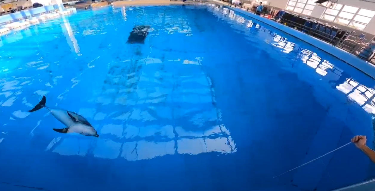 Does rotation increase the acoustic field of view? Comparative models ...