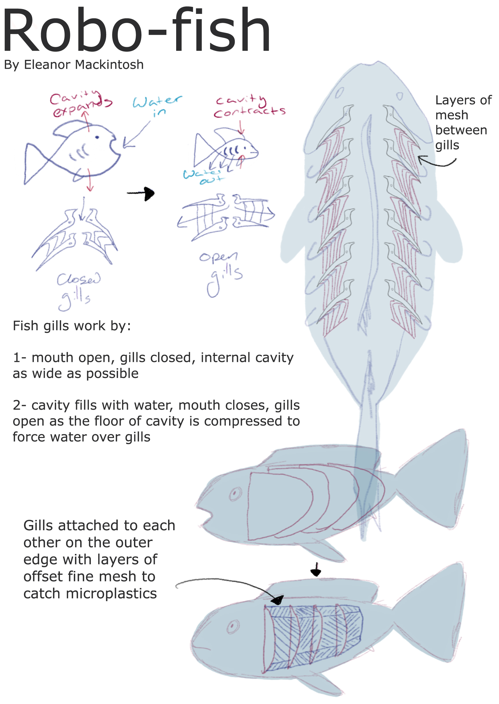 The Natural Robotics Contest: crowdsourced biomimetic design - IOPscience