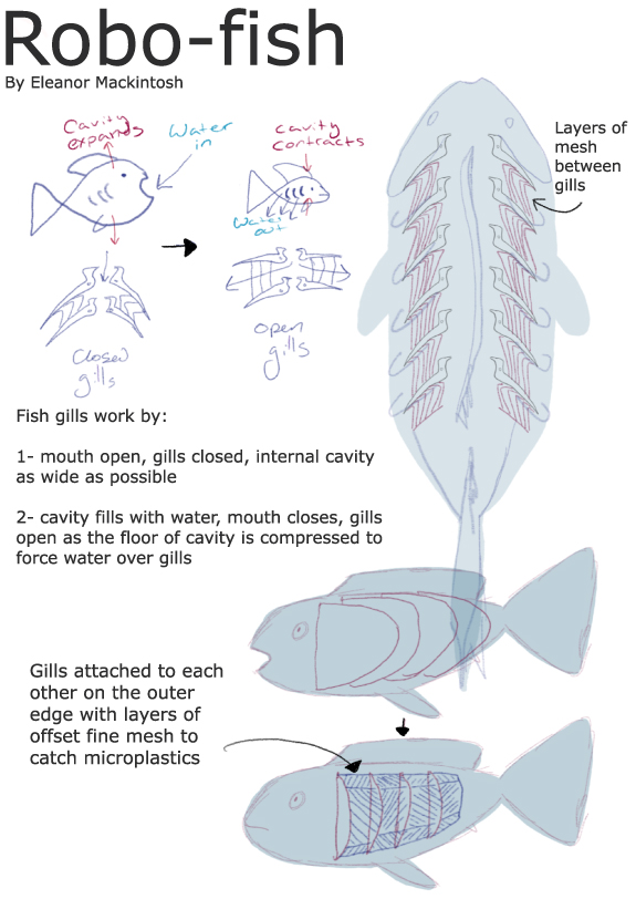 The Natural Robotics Contest: crowdsourced biomimetic design - IOPscience