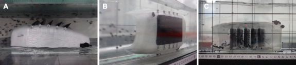 The Natural Robotics Contest: crowdsourced biomimetic design - IOPscience