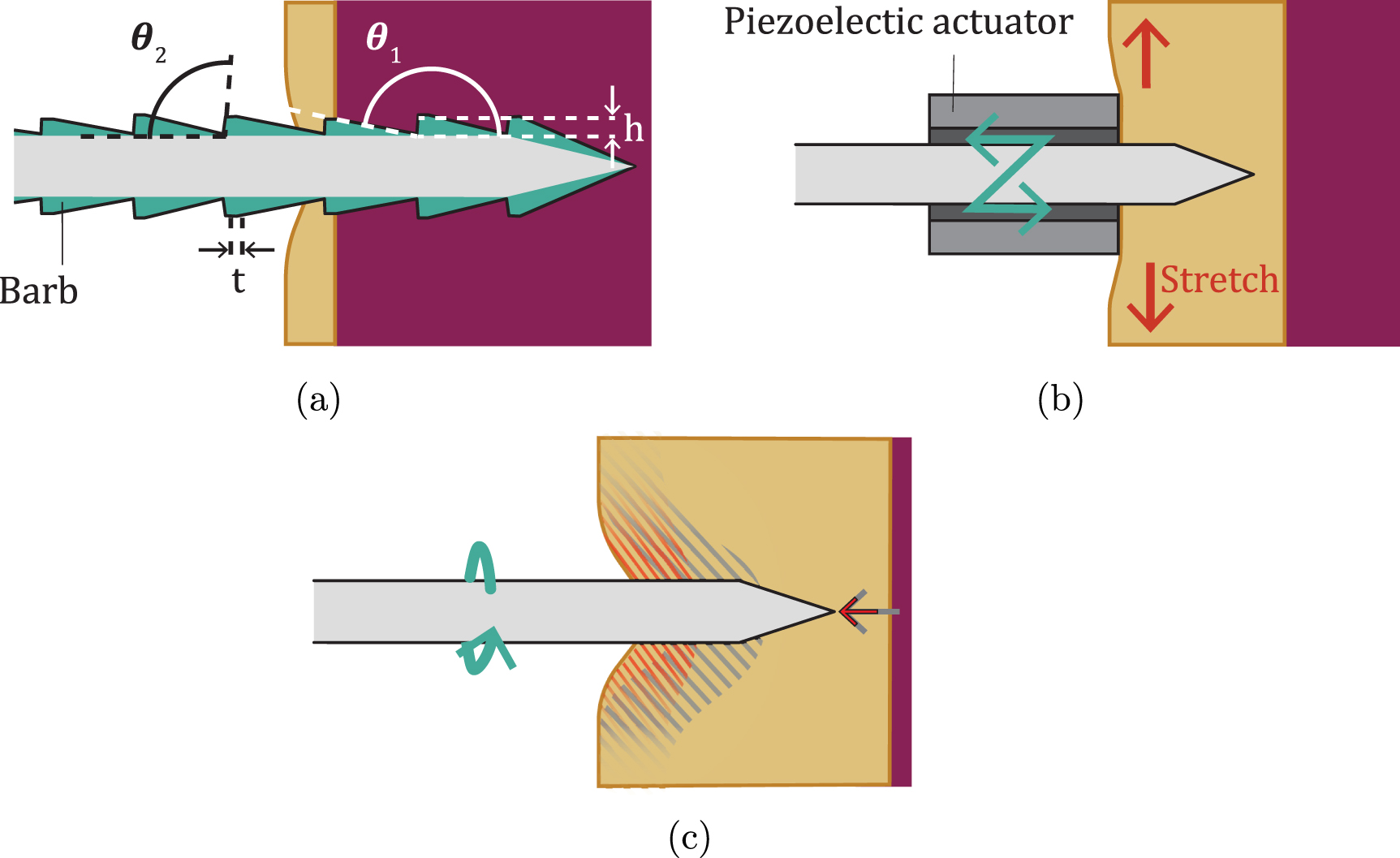 Bioinspired medical needles: a review of the scientific literature ...