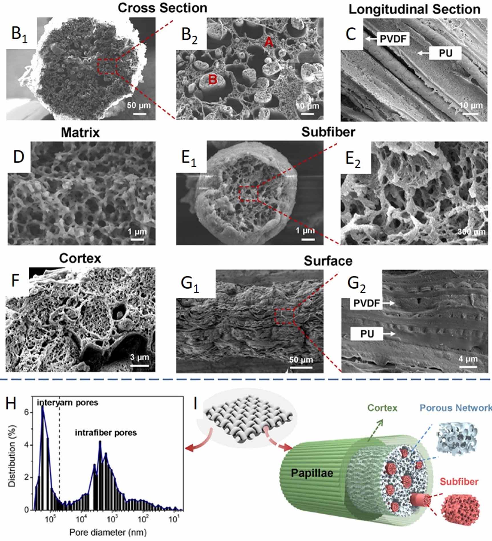 Biomimetic polymer fibers—function by design - IOPscience