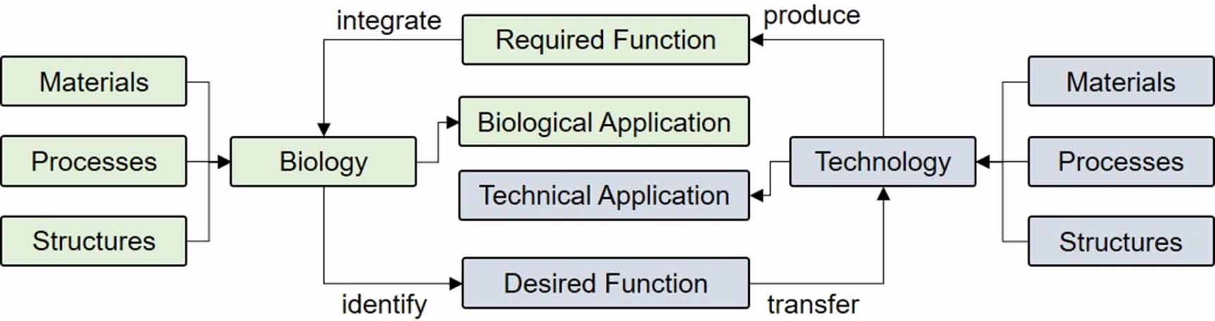 Biomimetic polymer fibers—function by design - IOPscience