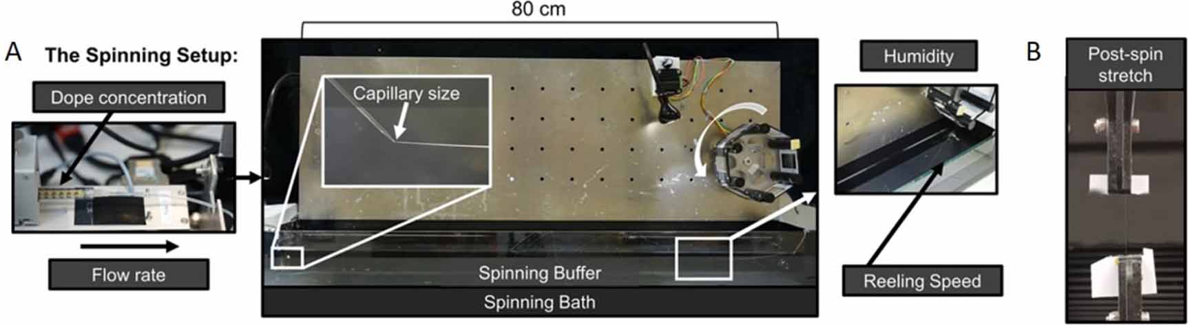 Biomimetic polymer fibers—function by design - IOPscience
