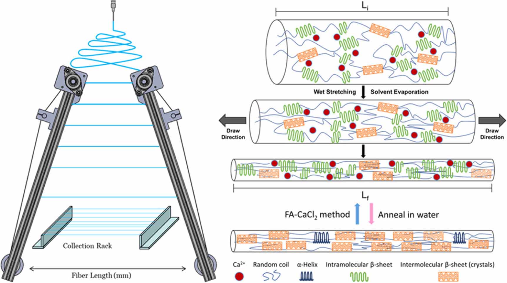Biomimetic polymer fibers—function by design - IOPscience