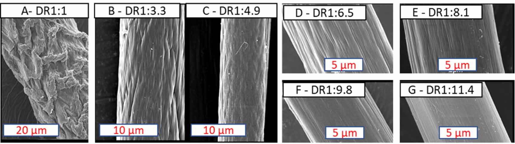 Biomimetic polymer fibers—function by design - IOPscience