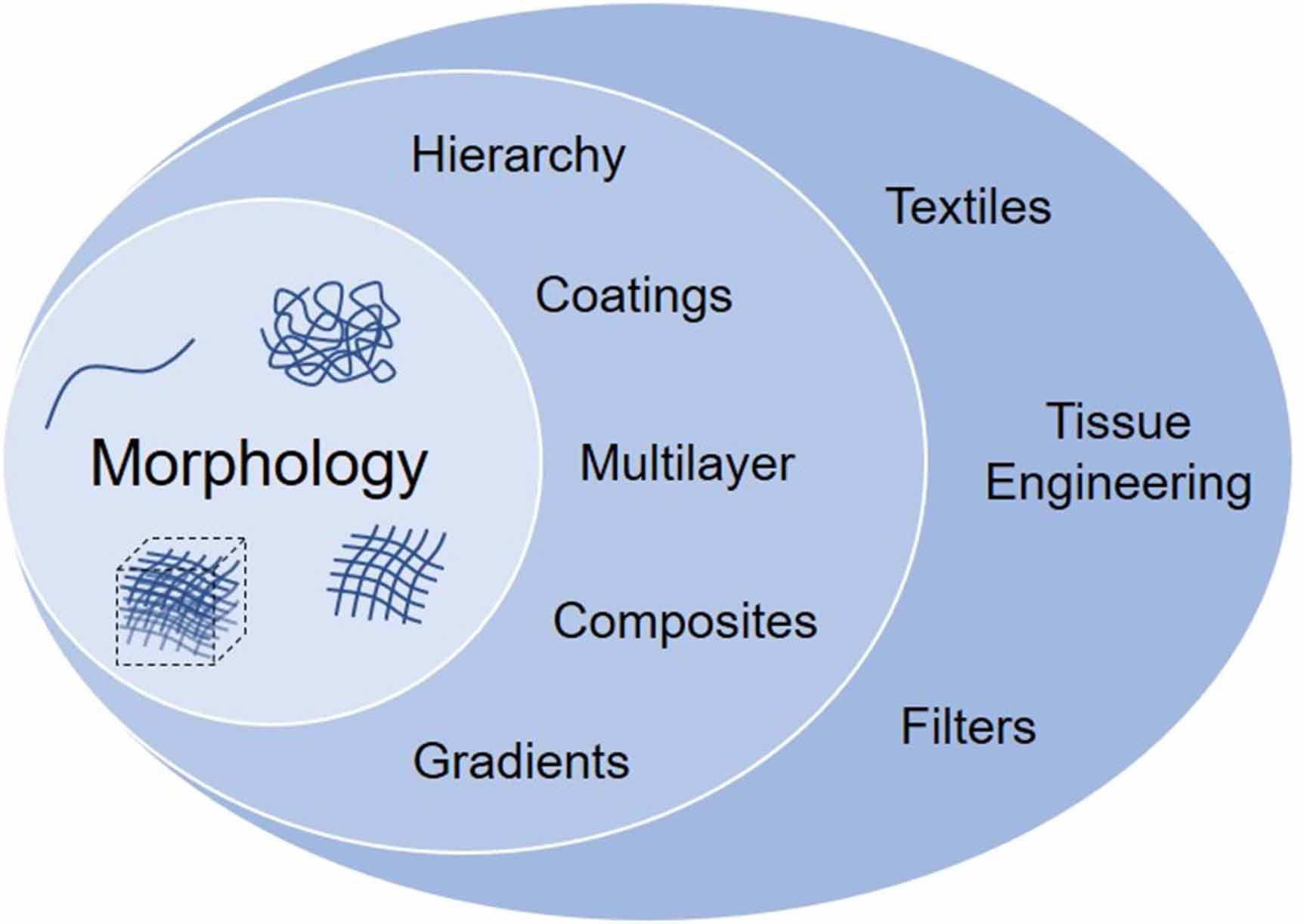 Biomimetic polymer fibers—function by design - IOPscience