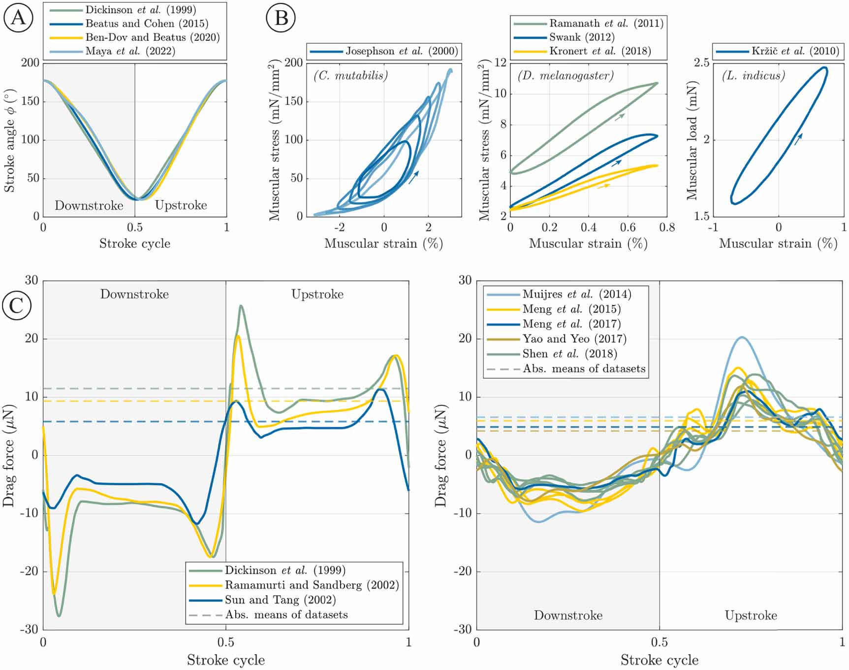 Solving the thoracic inverse problem in the fruit fly - IOPscience