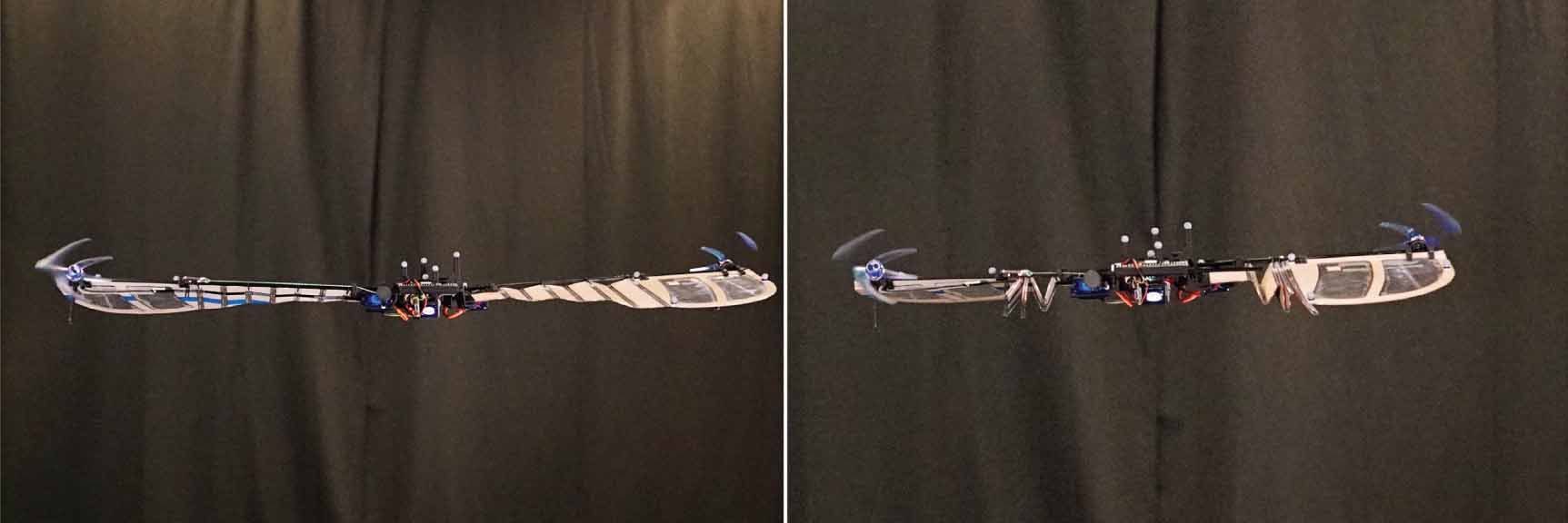 Nature-inspired in-flight foldable rotorcraft - IOPscience