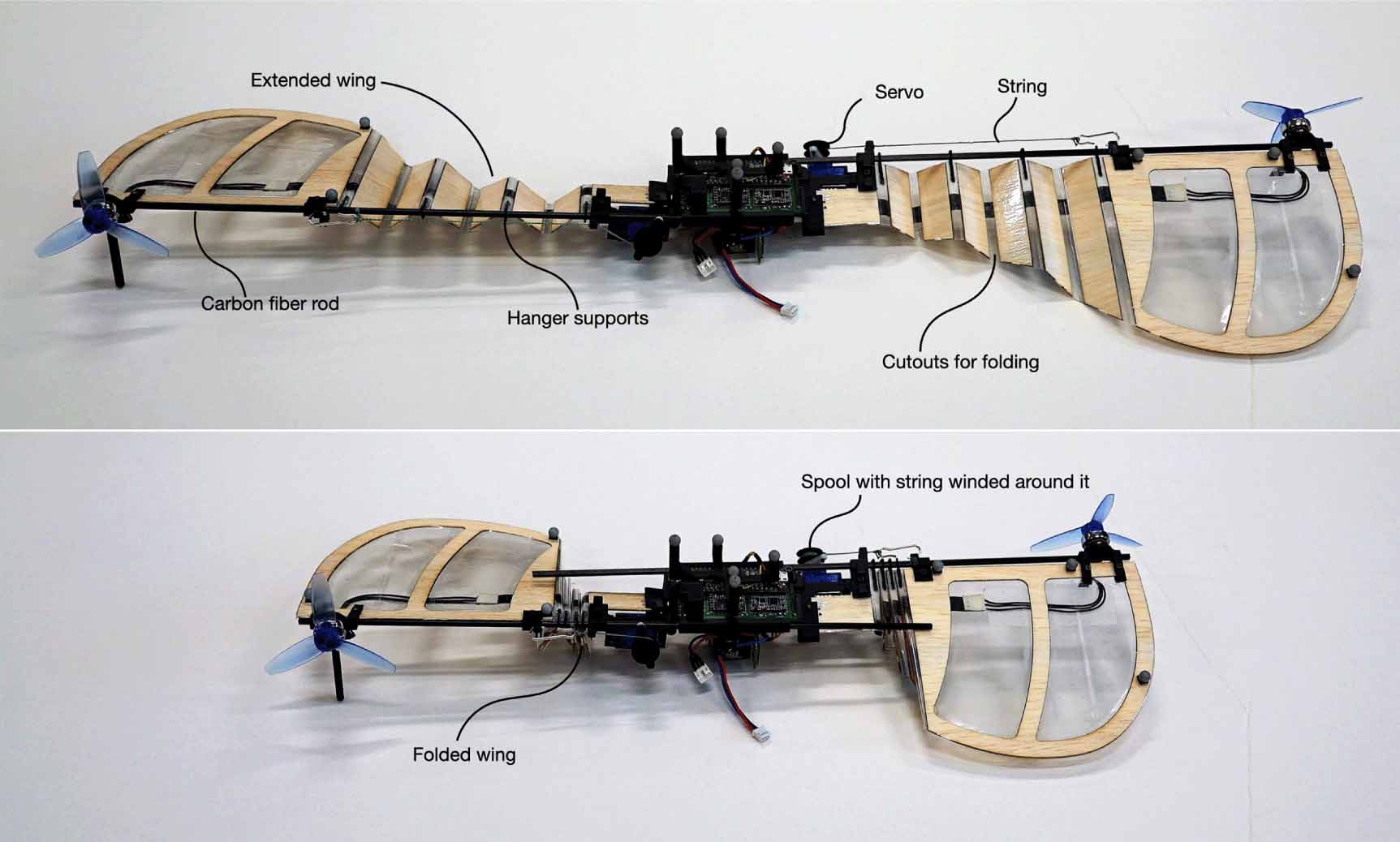 Nature-inspired in-flight foldable rotorcraft - IOPscience