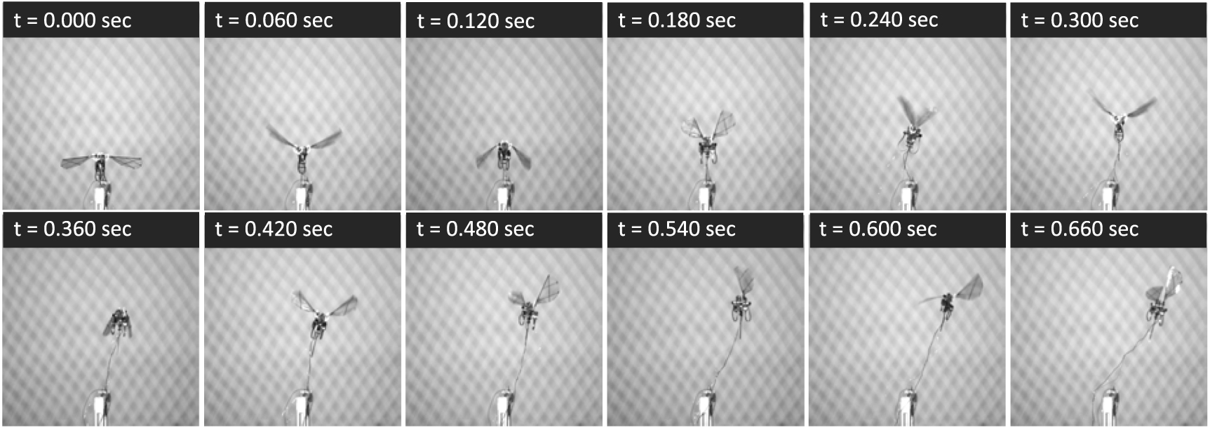 Design, modelling, and experimental validation of a self-rotating ...