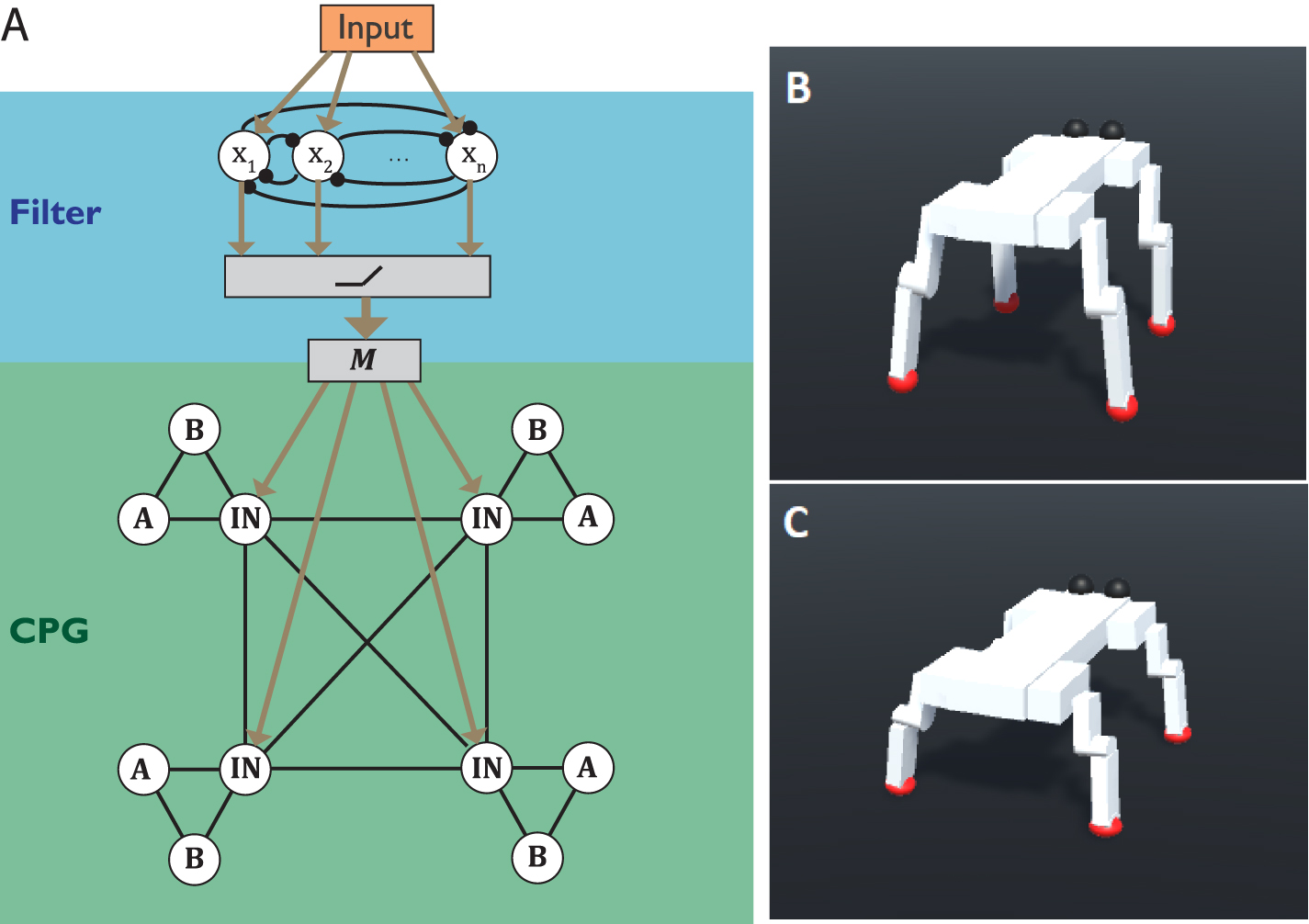Central pattern generators evolved for real-time adaptation to rhythmic ...