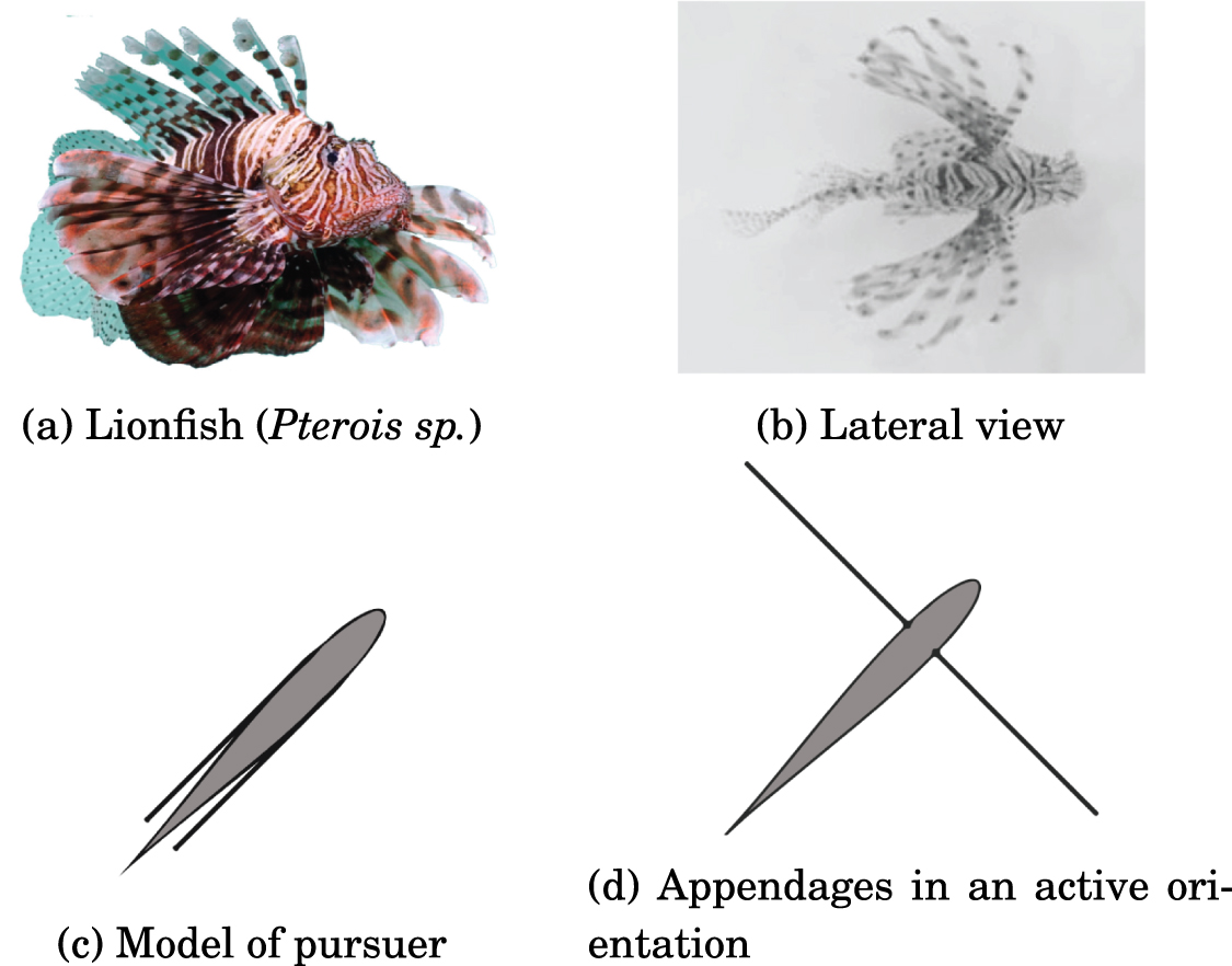 A lionfish-inspired predation strategy in planar structured ...