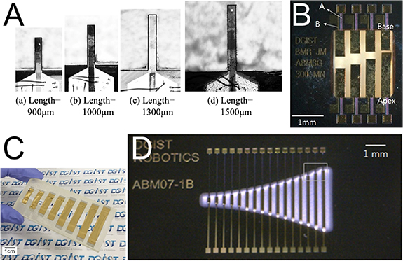 Review of the applications of principles of insect hearing to ...