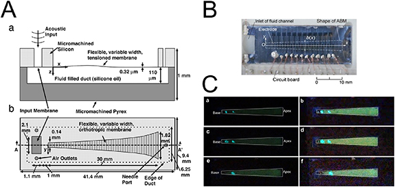 Review of the applications of principles of insect hearing to ...