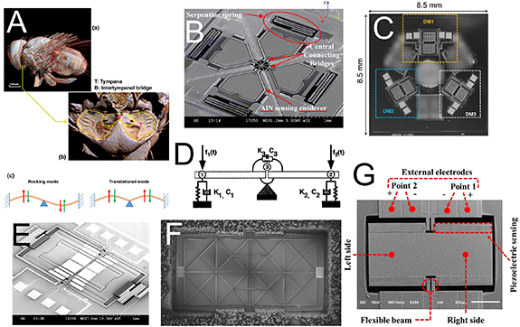 Review of the applications of principles of insect hearing to ...