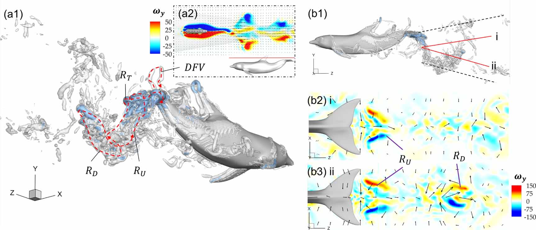 Thrust generation and propulsive efficiency in dolphin-like swimming ...