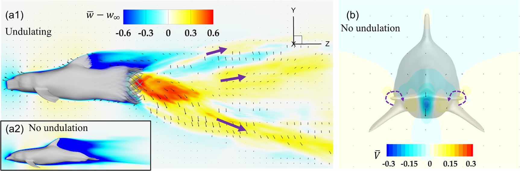 Thrust generation and propulsive efficiency in dolphin-like swimming ...