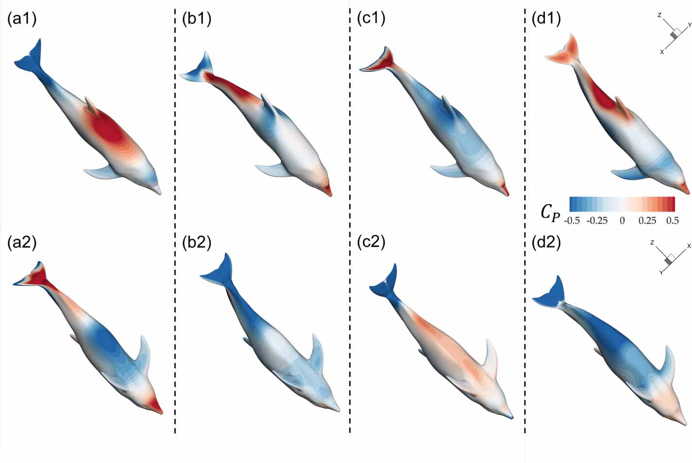 Thrust generation and propulsive efficiency in dolphin-like swimming ...