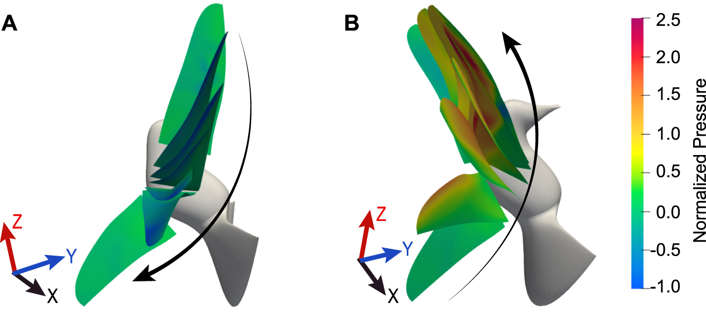 Active wing-pitching mechanism in hummingbird escape maneuvers - IOPscience